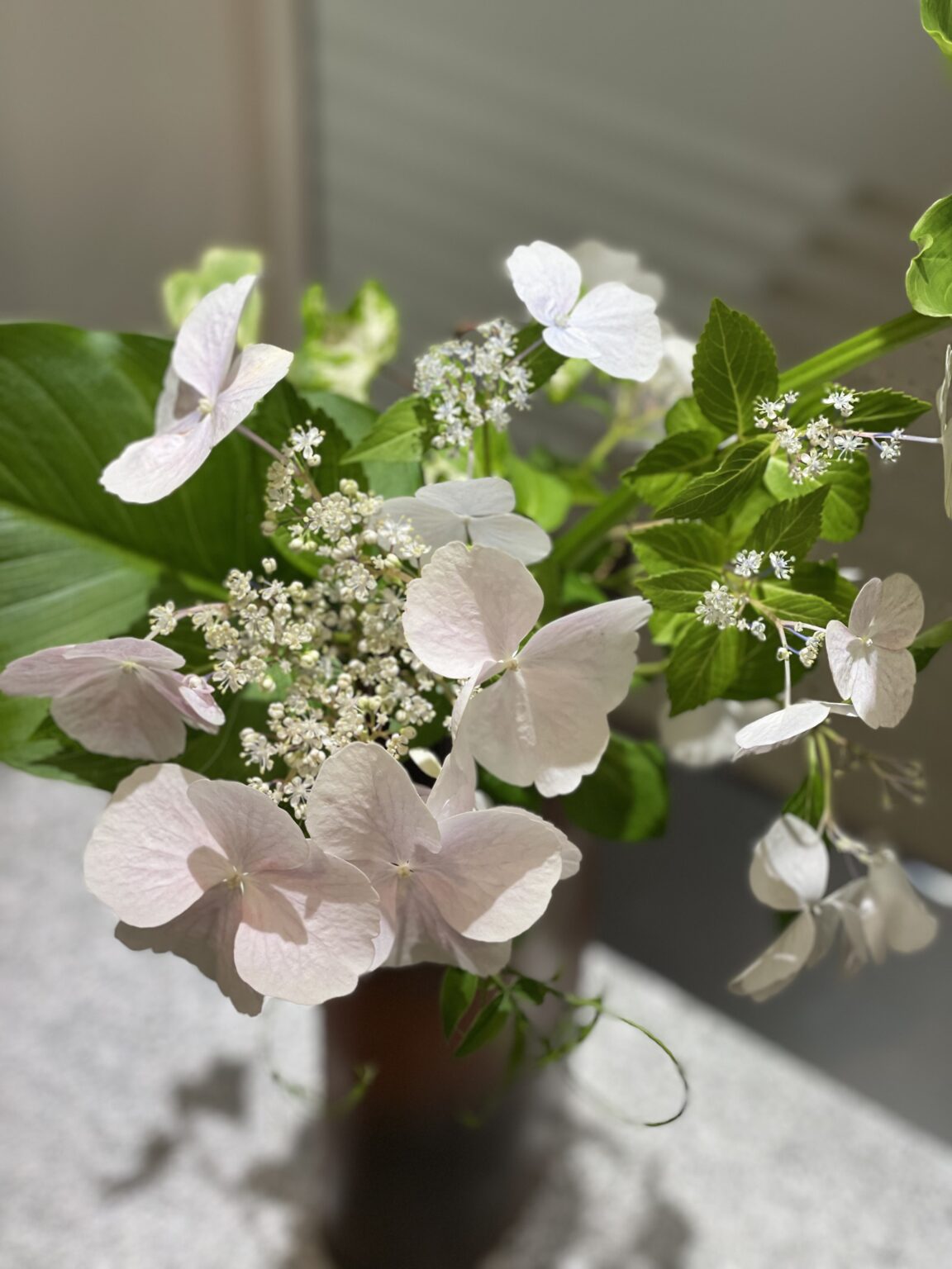 今週のエントランス生け花 | 弁理士法人IP CREW｜横浜ランドマークタワー